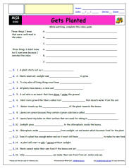 FREE Differentiated Worksheet for the Magic School Bus * - Gets Planted ...